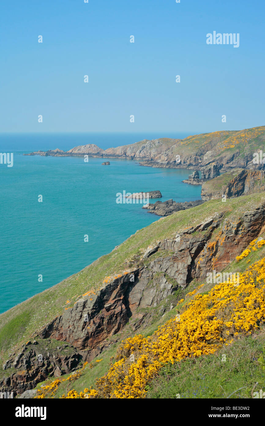 cliff scenery in the northwest of Sark Island, Channel Islands Stock ...
