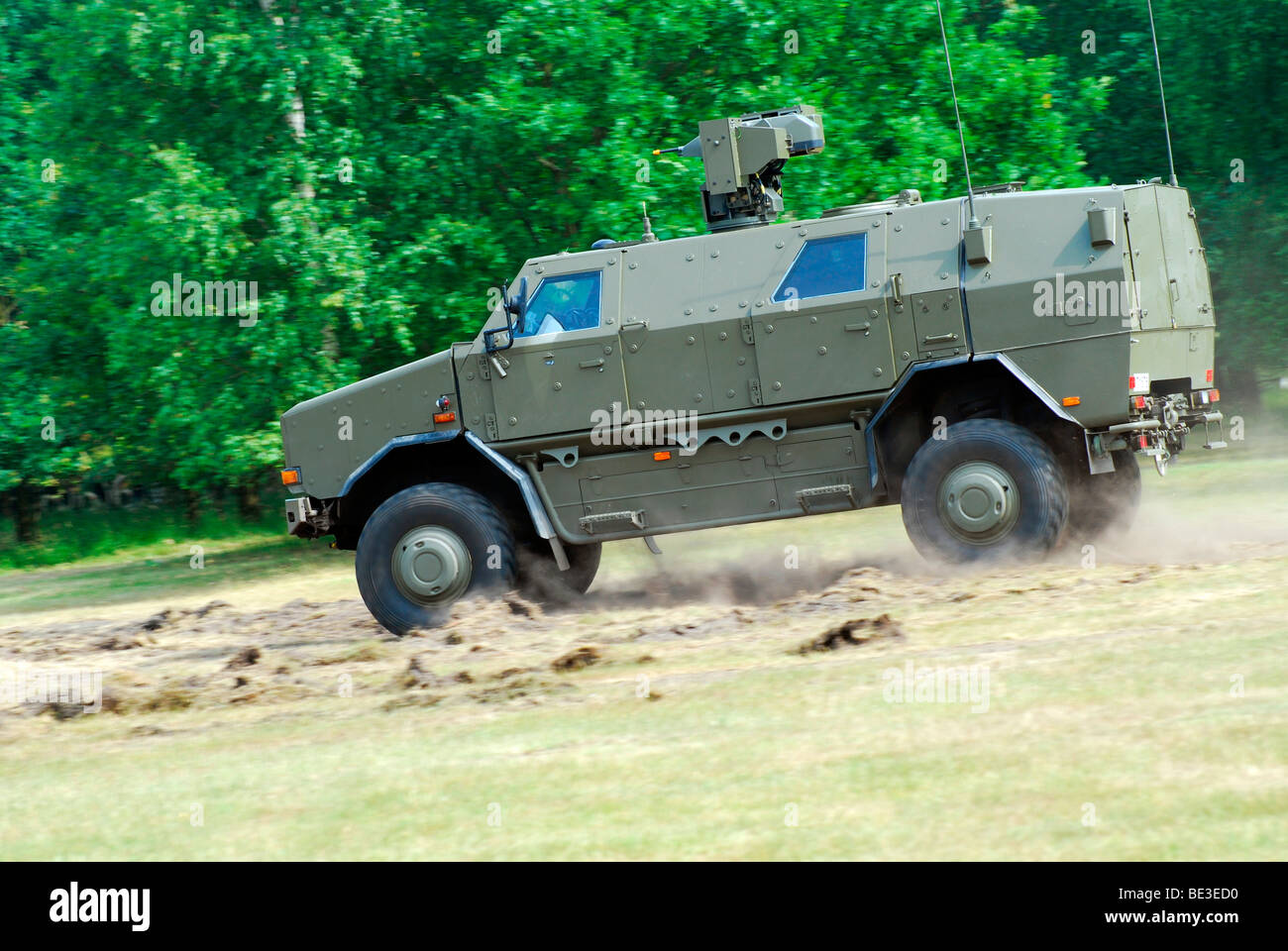 Dingo 2 hi-res stock photography and images - Alamy