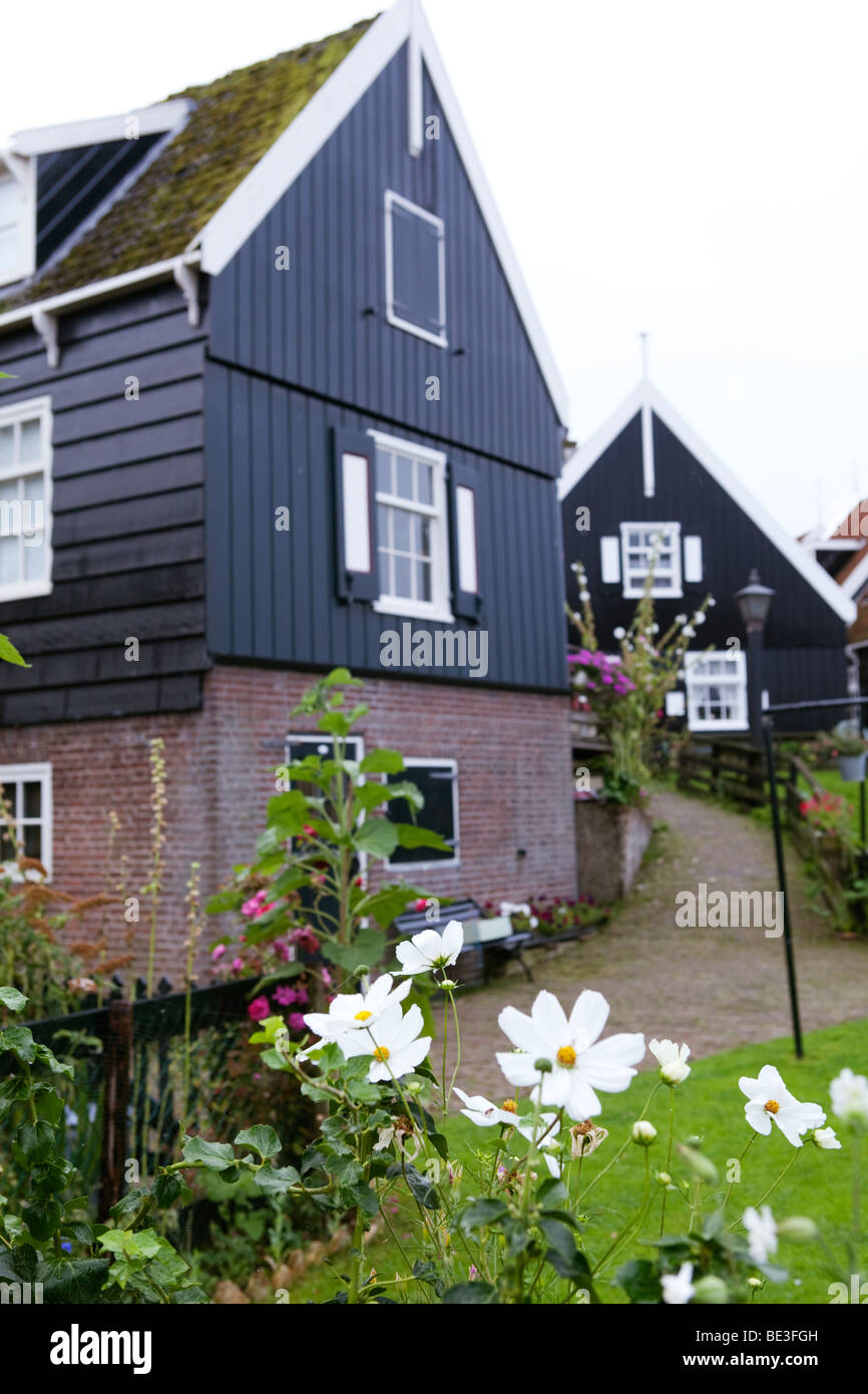 Marken houses with small gardens in the front. Holland. focus on the ...