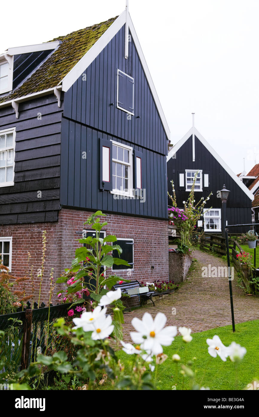 Marken houses with small gardens in the front. Holland. Focus on the ...