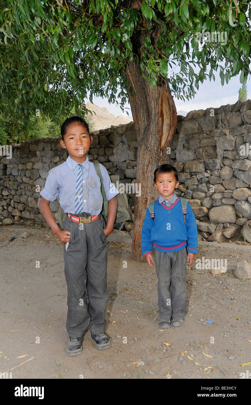 Ladakhi schoolchildren on the way home, Leh, Ladakh, India, Himalayas ...