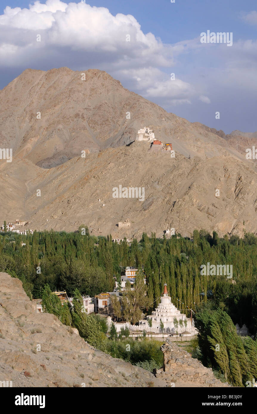 Leh oasis with Gonkhang monastery and castle ruins on the mountain ...