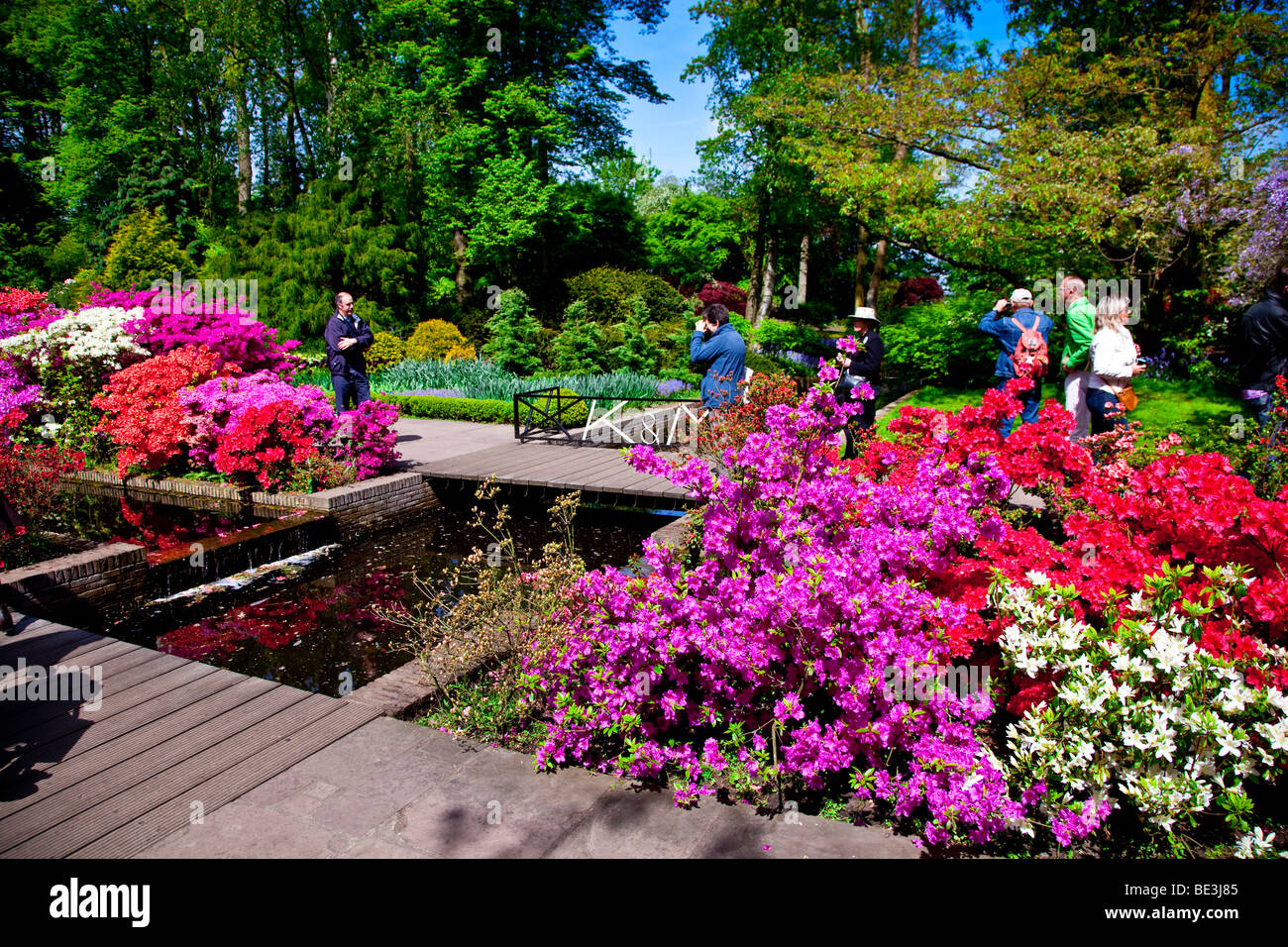 Keukenhof in springtime, attraction for many tourists around the world ...