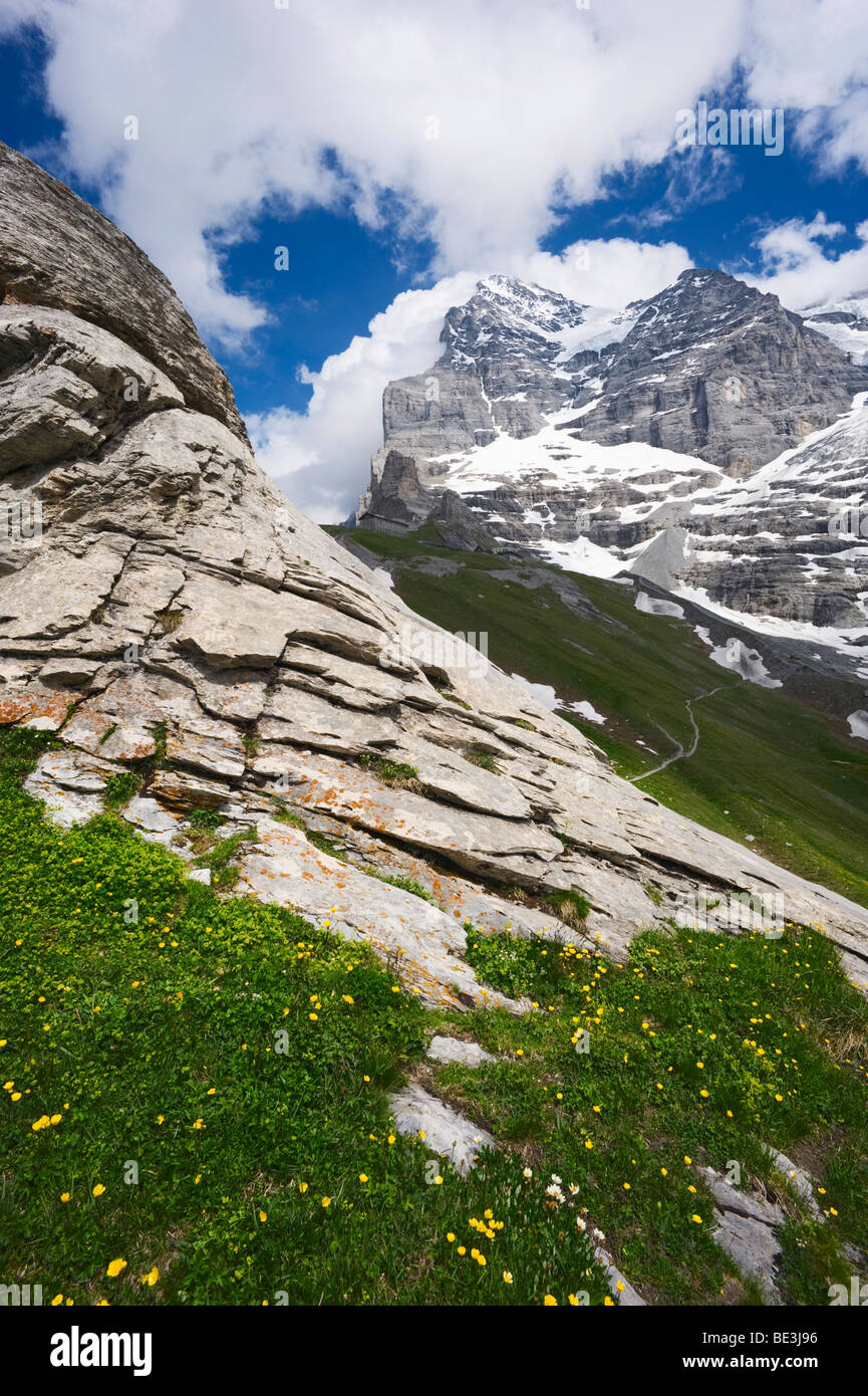 Eiger with Eismeer slope and glacier, Switzerland, Europe Stock Photo ...