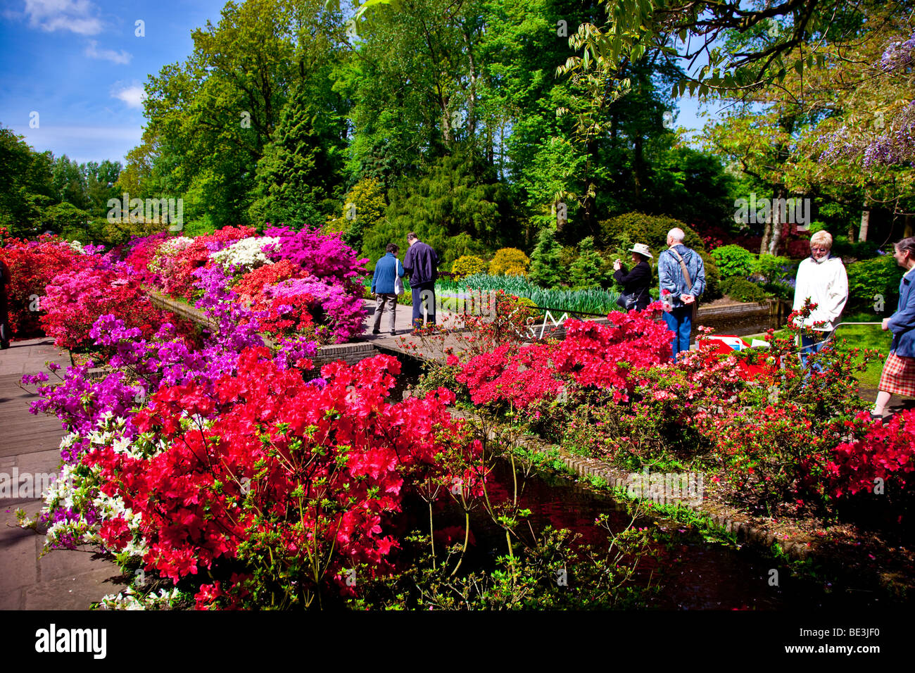 Keukenhof in springtime, attraction for many tourists around the world ...