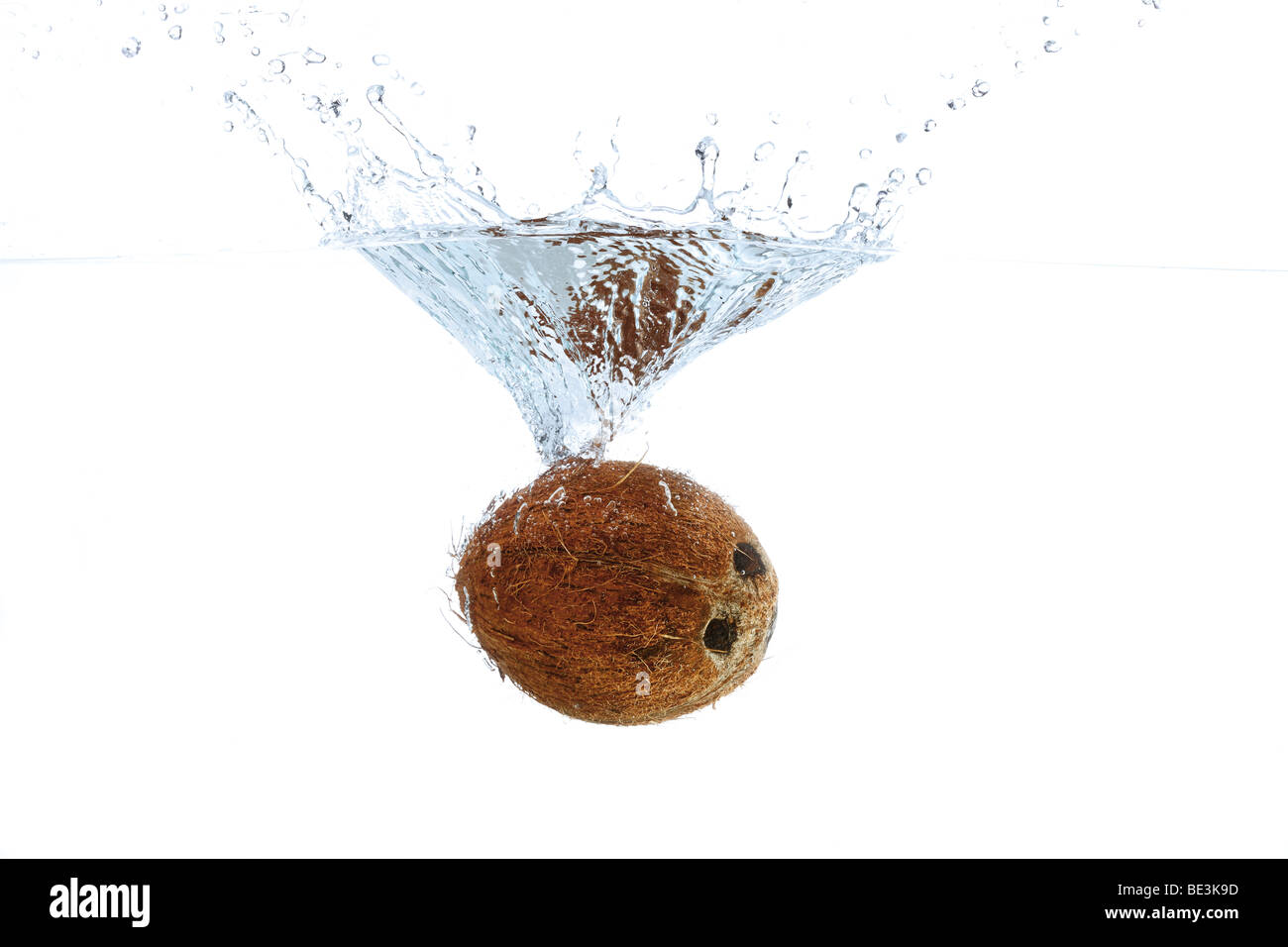 Coconut in water Stock Photo - Alamy