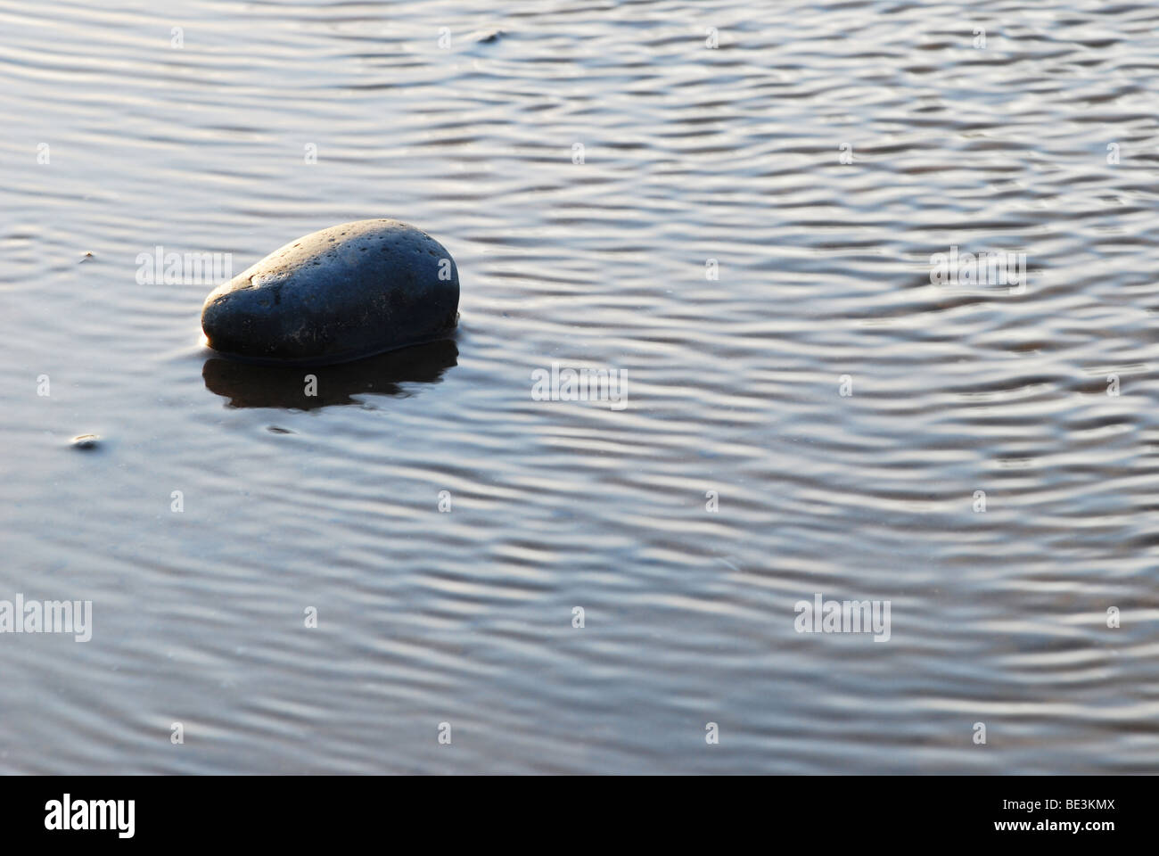 Rain wet stones hi-res stock photography and images - Alamy