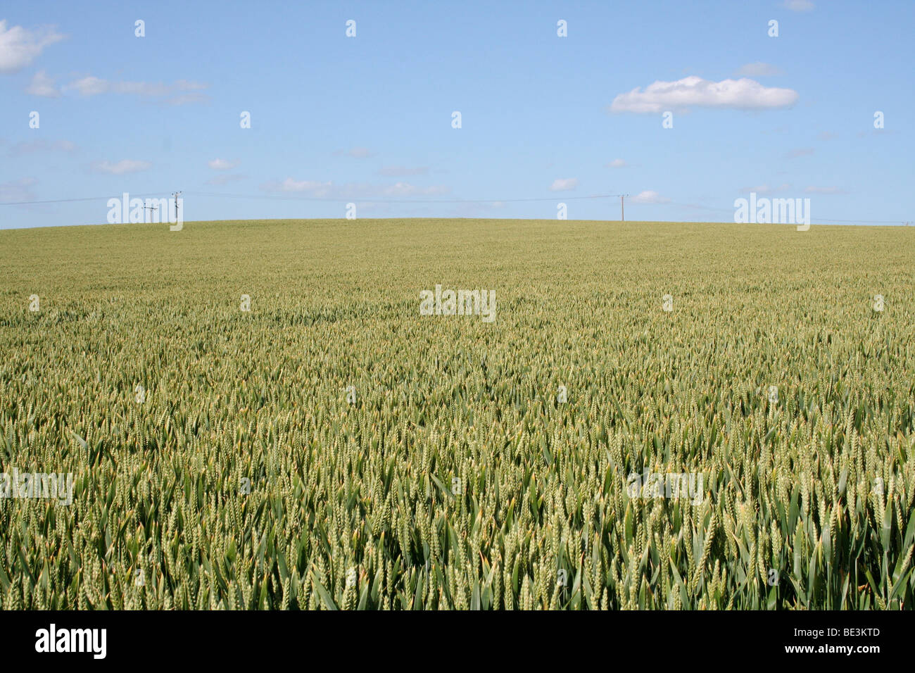 Norfolk countryside, England, Britain Stock Photo - Alamy