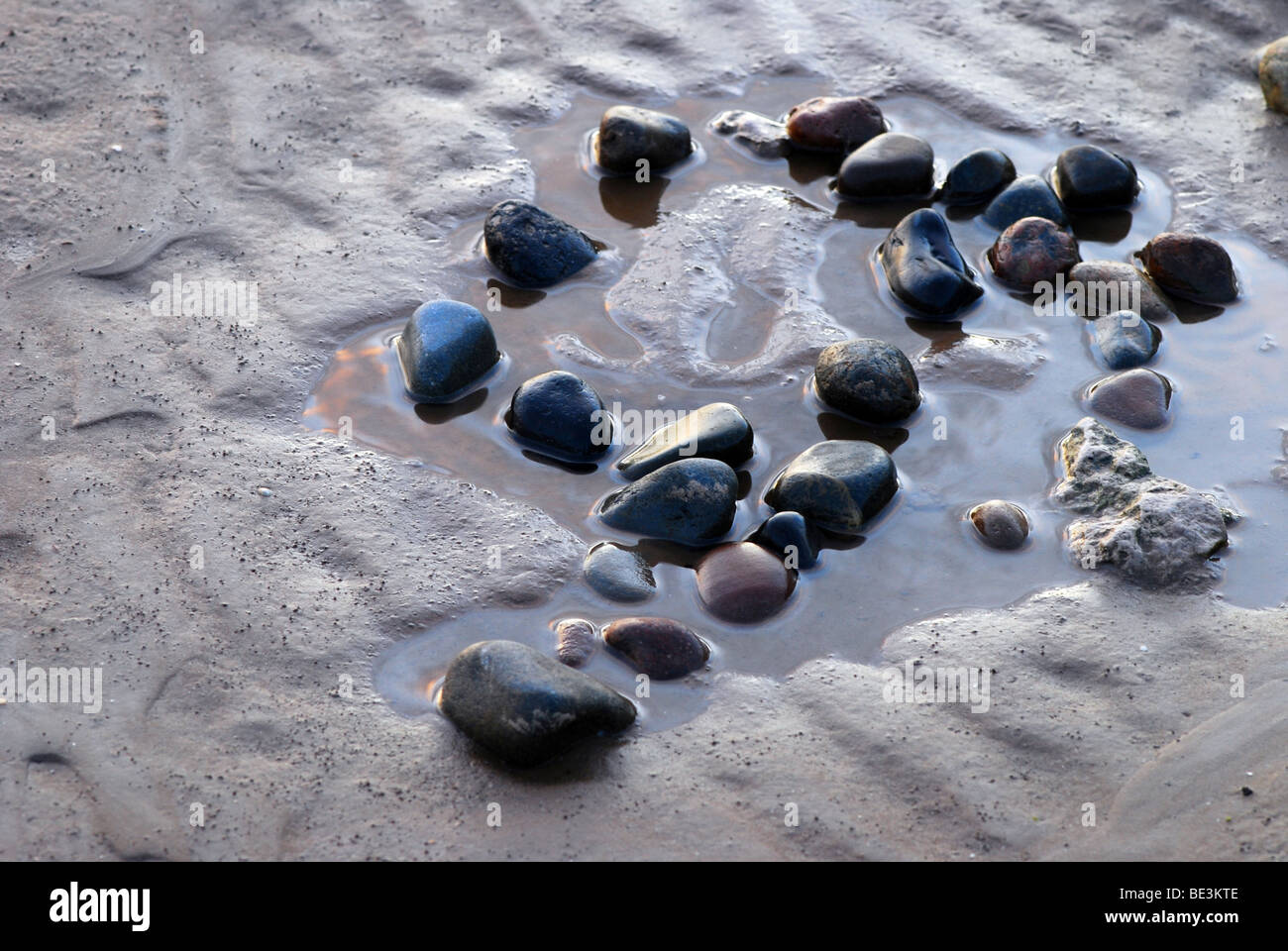 Rain wet stones hi-res stock photography and images - Alamy