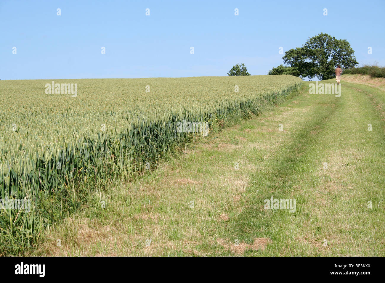 Norfolk countryside, England, Britain Stock Photo - Alamy