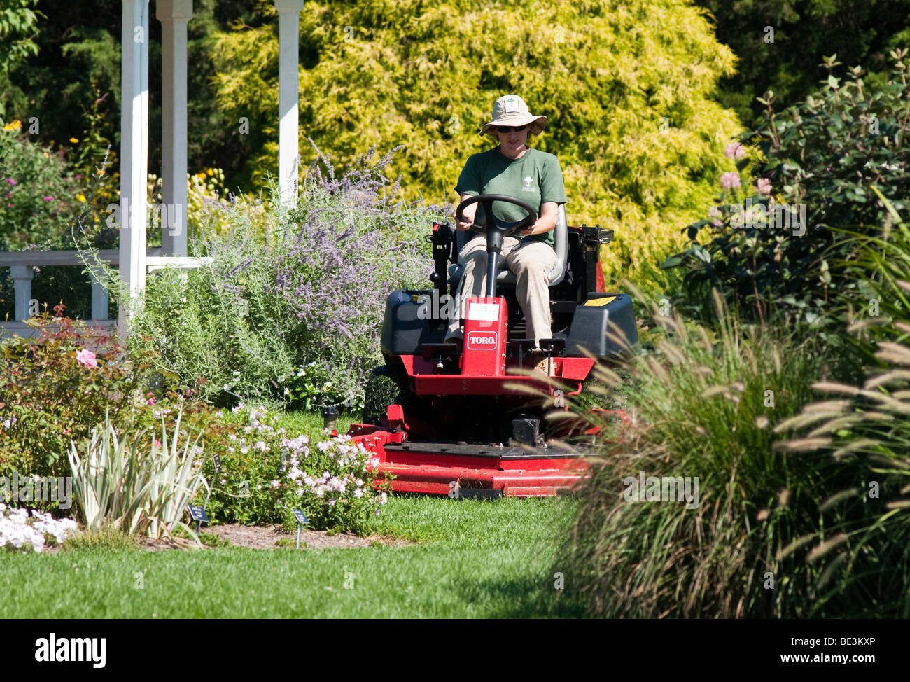 Lady Mowing Grass