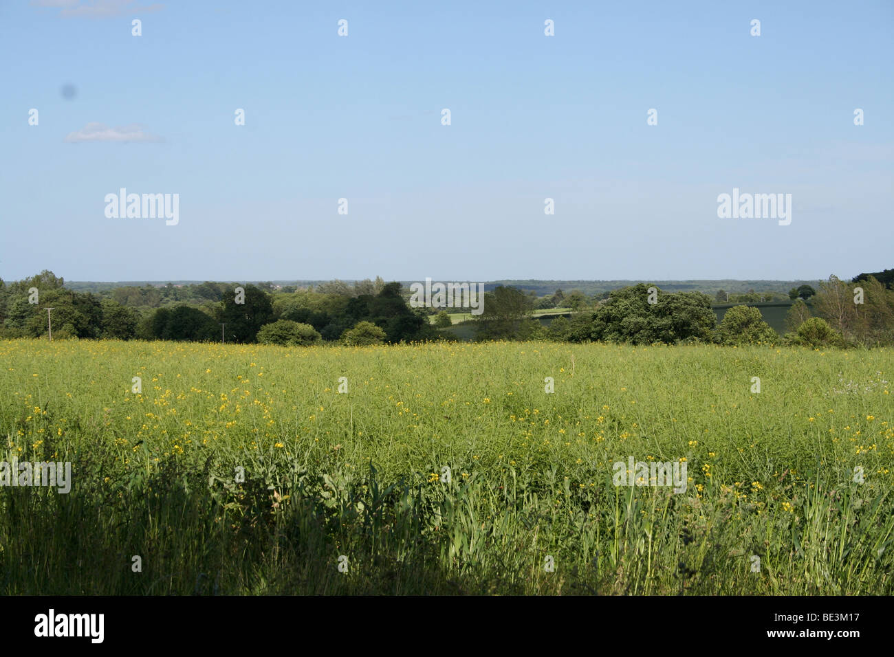Norfolk fields sky hi-res stock photography and images - Alamy