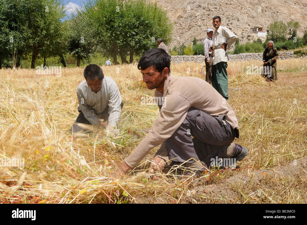 Indian migrant workers hi-res stock photography and images - Alamy
