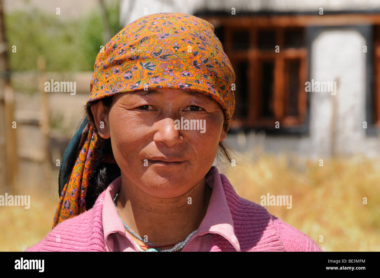 Traktok hi-res stock photography and images - Alamy