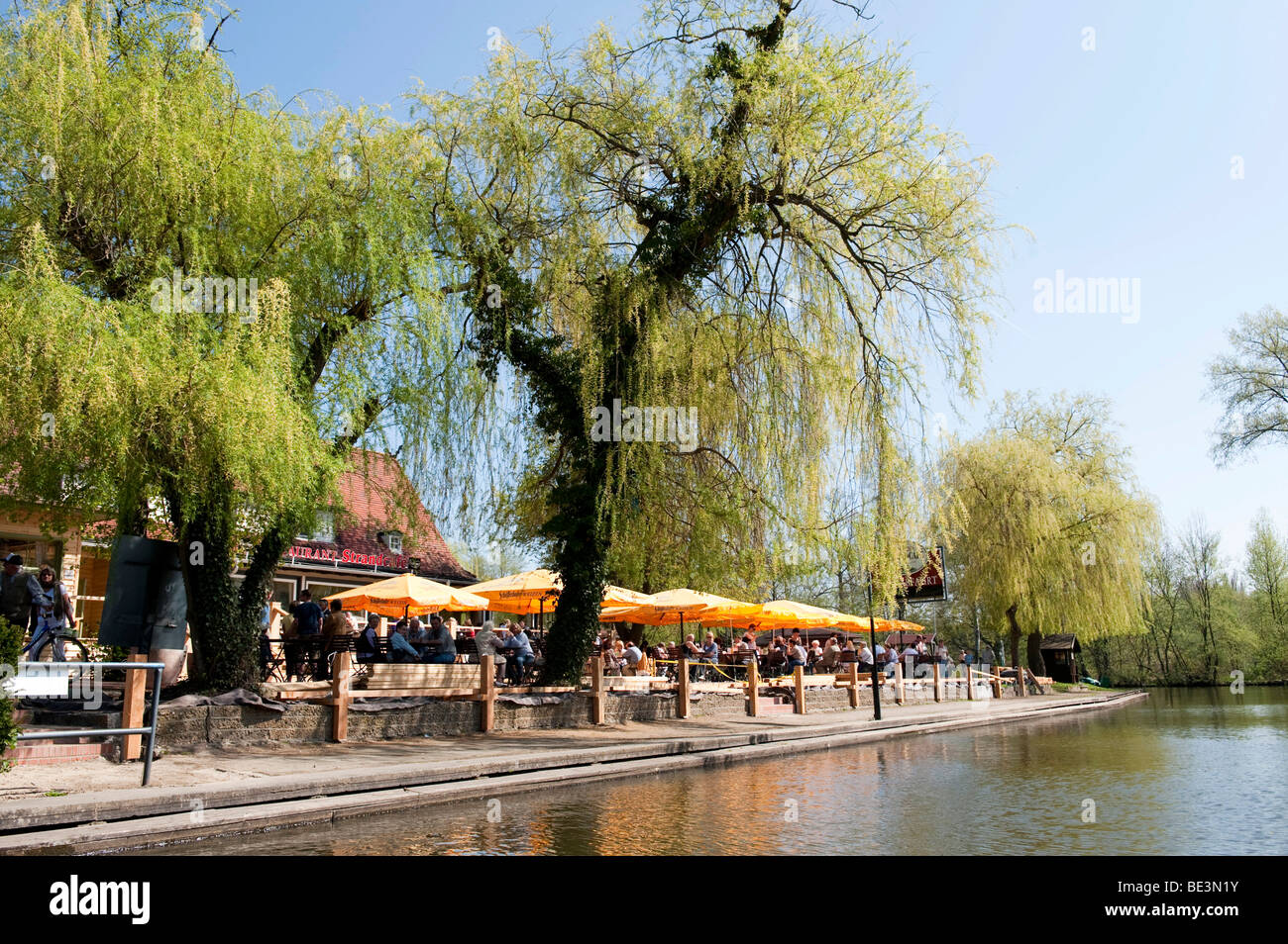 The Spreewald forest, Luebben, Brandenburg, Germany, Europe Stock Photo ...