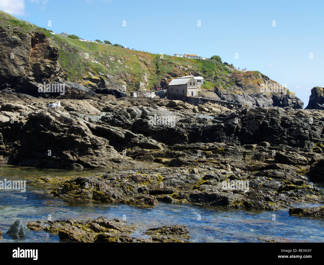 Lizard Point Cornwall England UKRAINIAN Stock Photo - Alamy