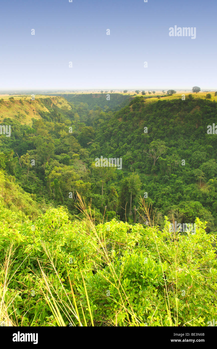 View across Kyambura River Gorge in Queen Elizabeth National Park in ...
