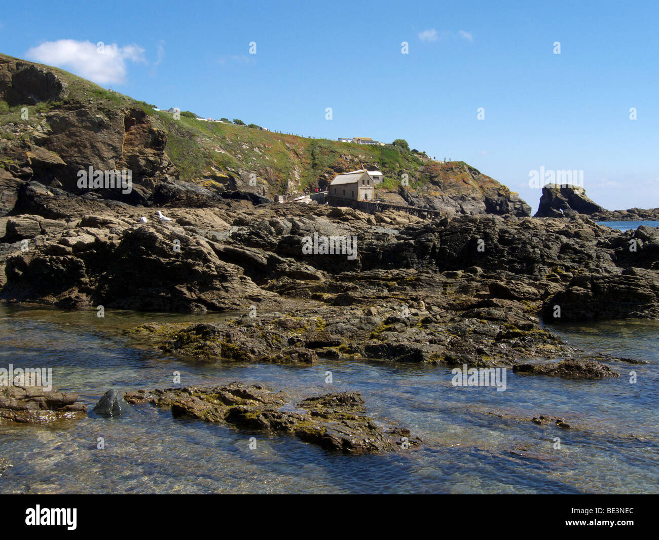 Lizard Point Cornwall England UK Stock Photo - Alamy