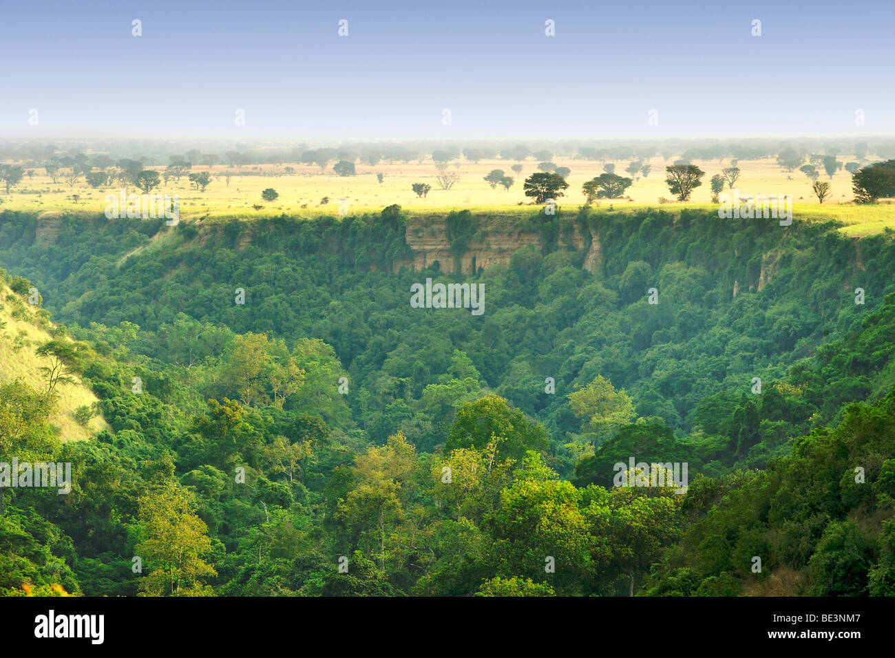 View across Kyambura River Gorge in Queen Elizabeth National Park in ...