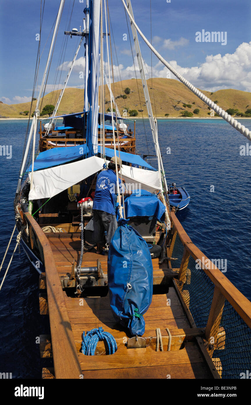 On MS-Felicia Liveaboard, Flores, Indonesia, Southeast Asia Stock Photo ...