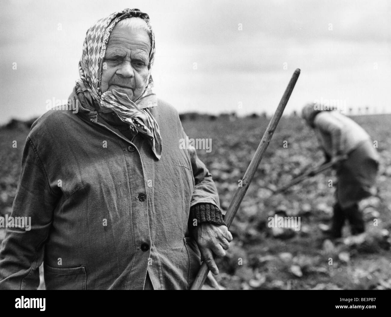 Farmwoman of an LPG, acronym for collectivised farms in the former East ...