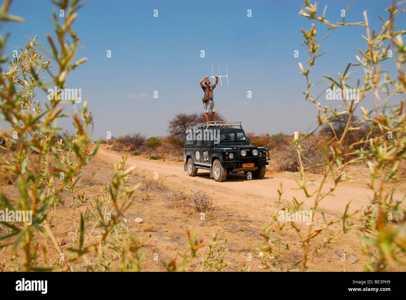 Tracking big cats africa hi-res stock photography and images - Alamy