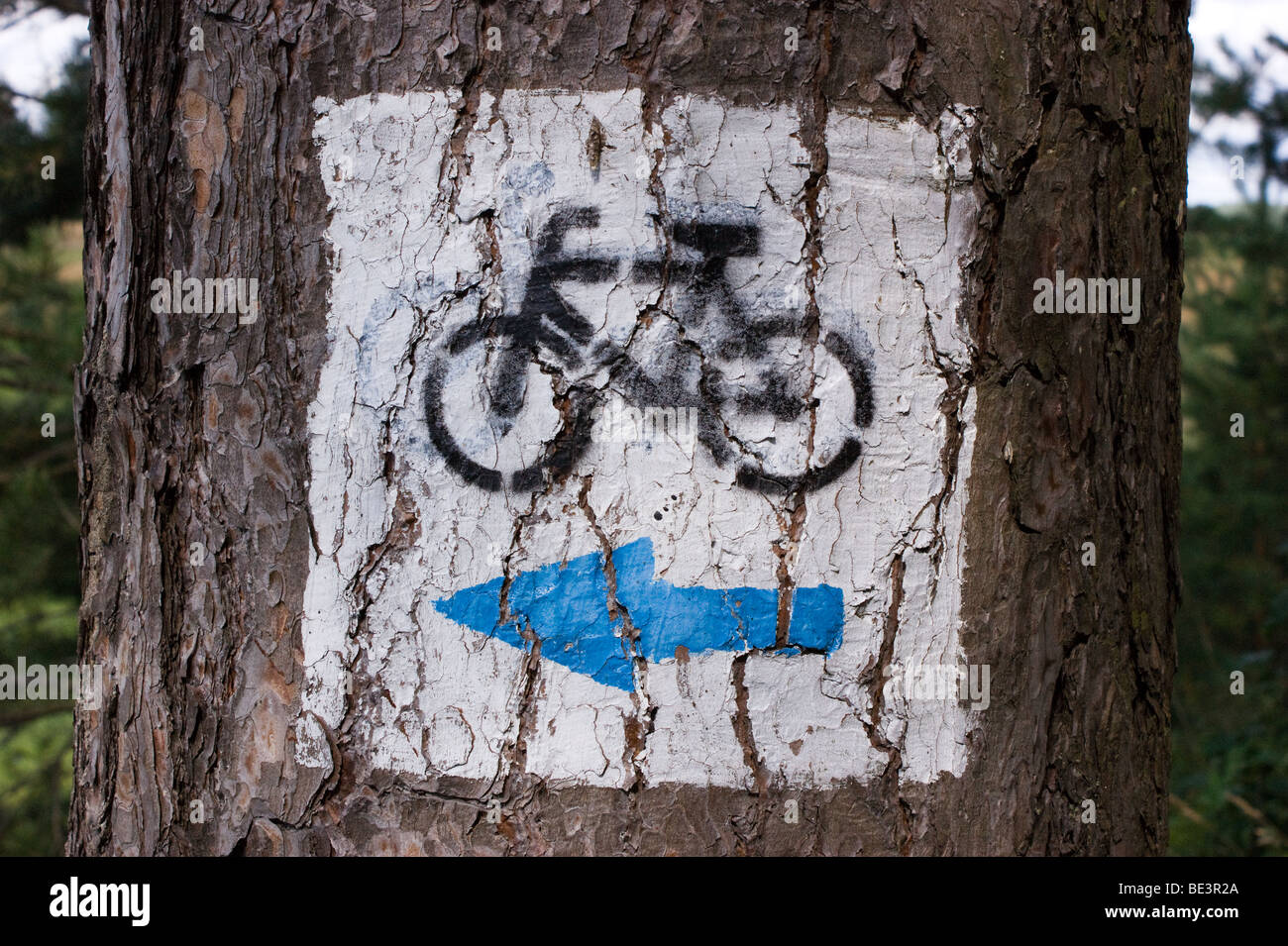 Bike route sign painted on tree trunk Stock Photo - Alamy