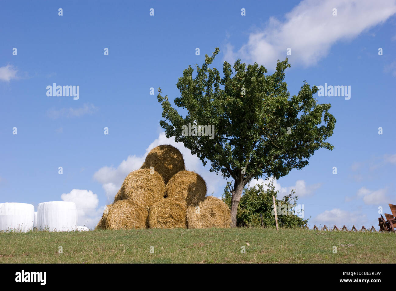 straw bales and tree Stock Photo - Alamy