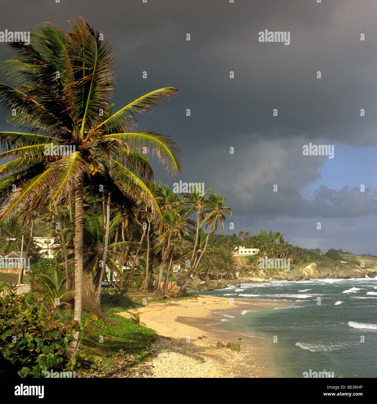 Tropical scene Bathsheba Barbados Stock Photo - Alamy