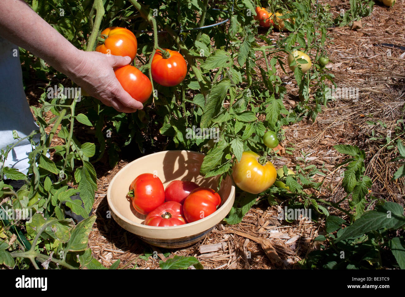 Jet star hi-res stock photography and images - Alamy