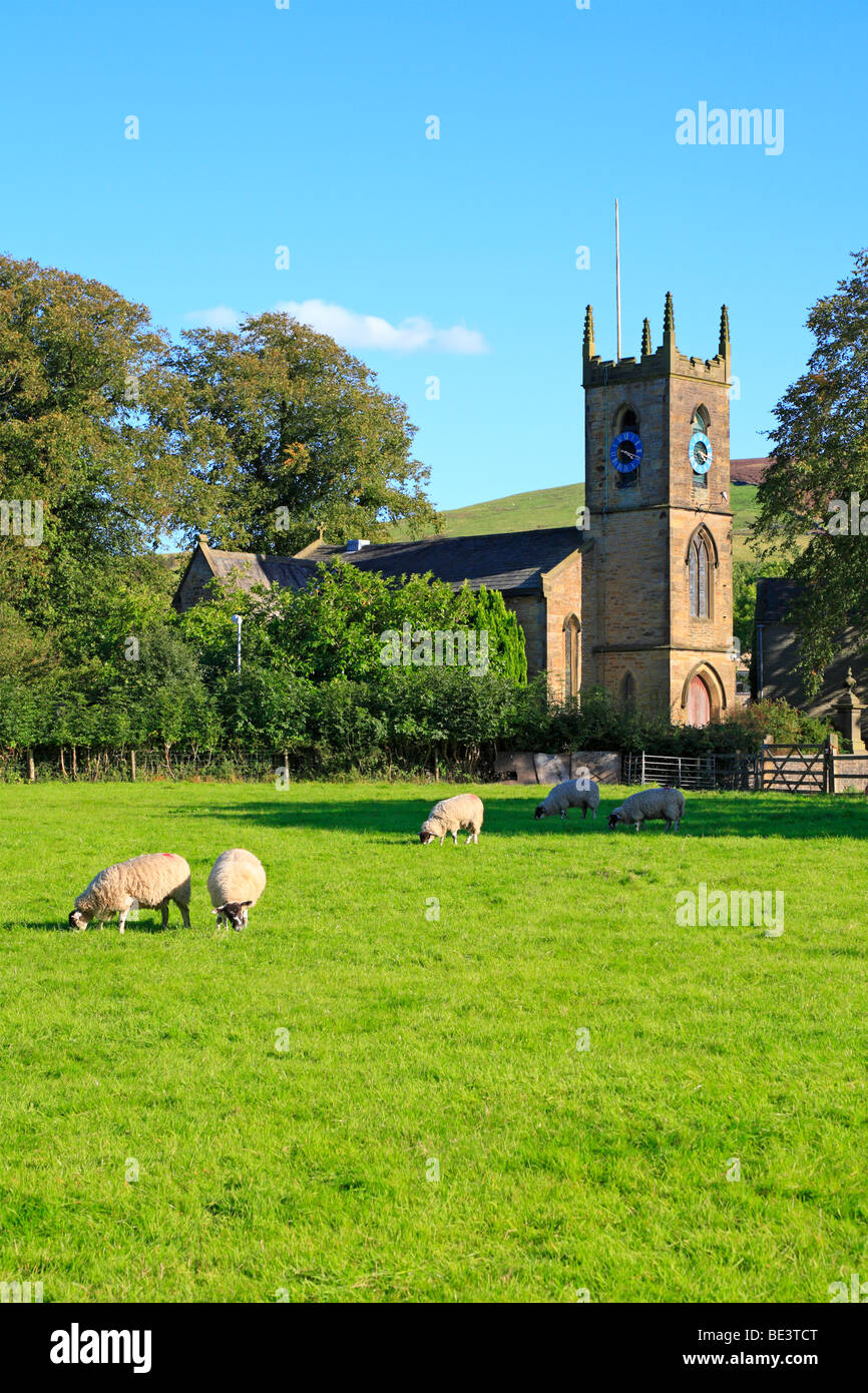 Sheep grazing in front of St Marys Church, Kelbrook, Barnoldswick ...