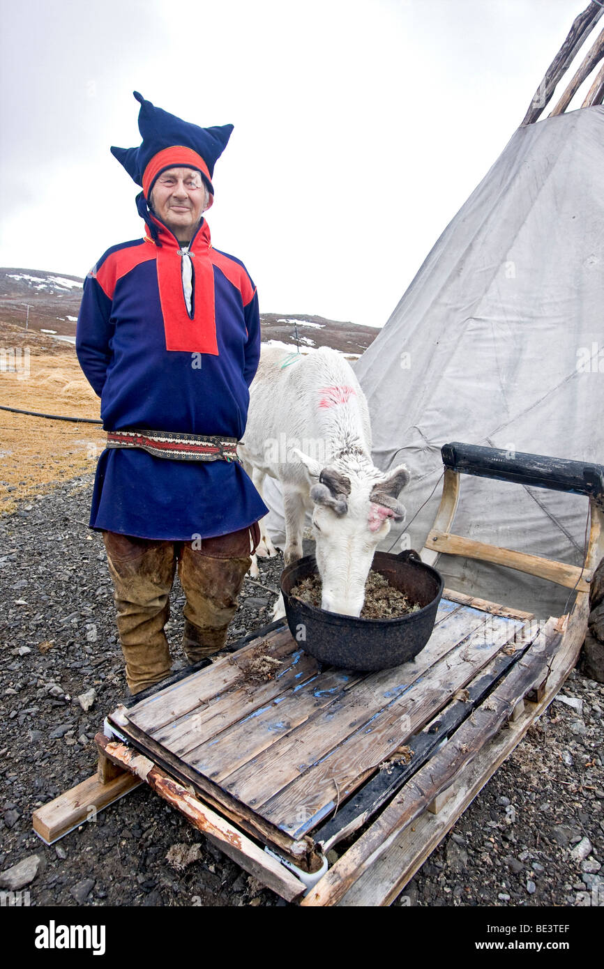Elderly Sami man in traditional clothing stands by his tent with one of ...