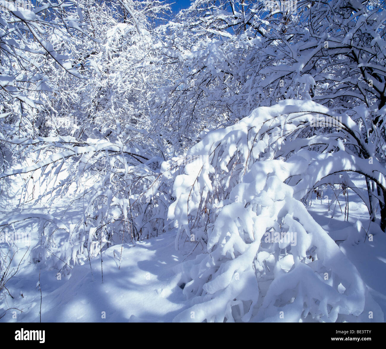Indian slough wildlife area hi-res stock photography and images - Alamy