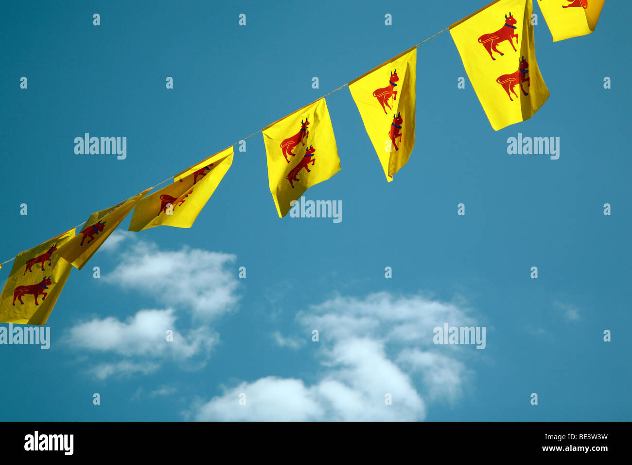 Bunting with cow symbol of Bearn region of France, Pau Stock Photo - Alamy