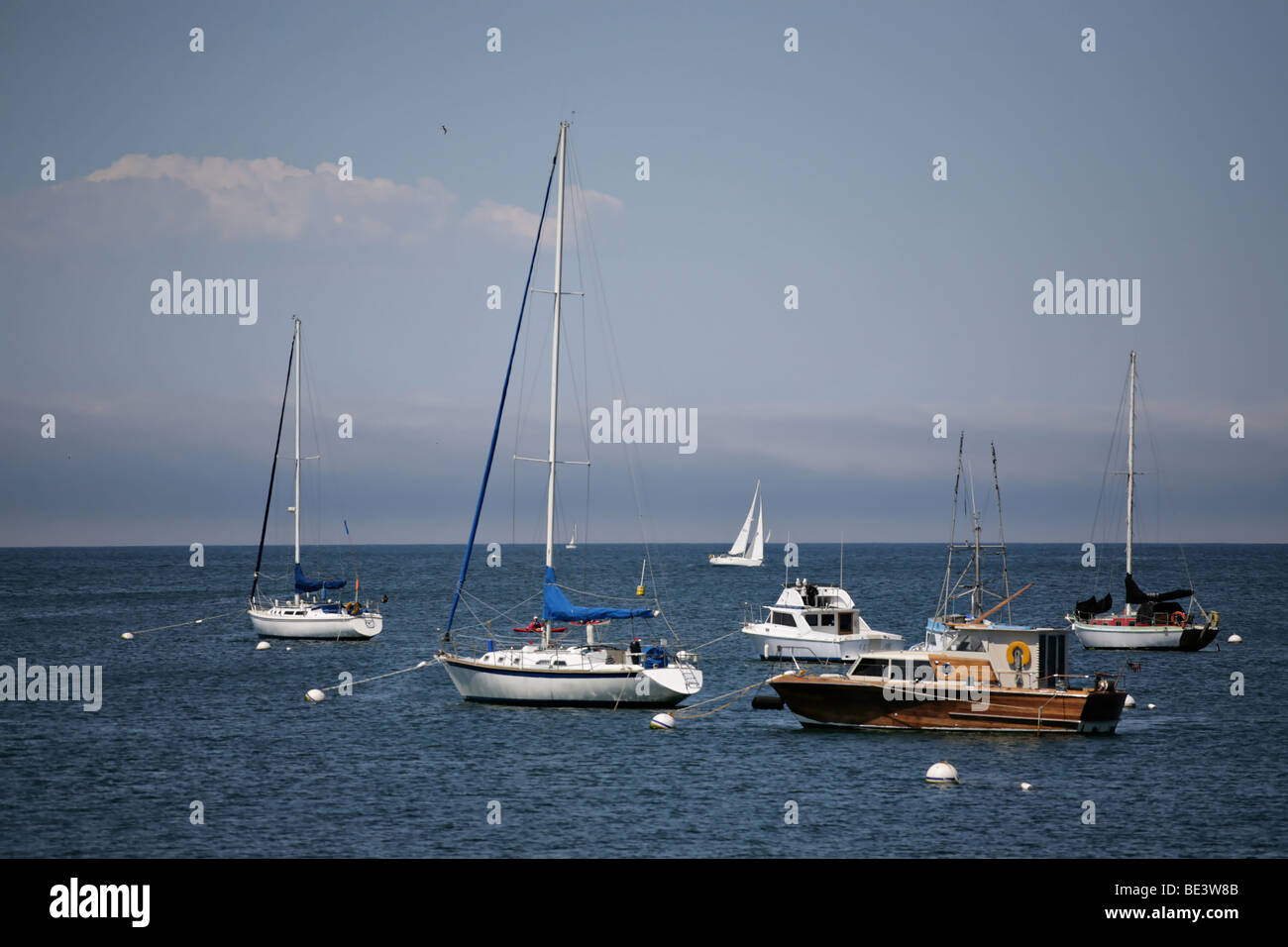 Sailboats anchored in the ocean's harbor Stock Photo - Alamy