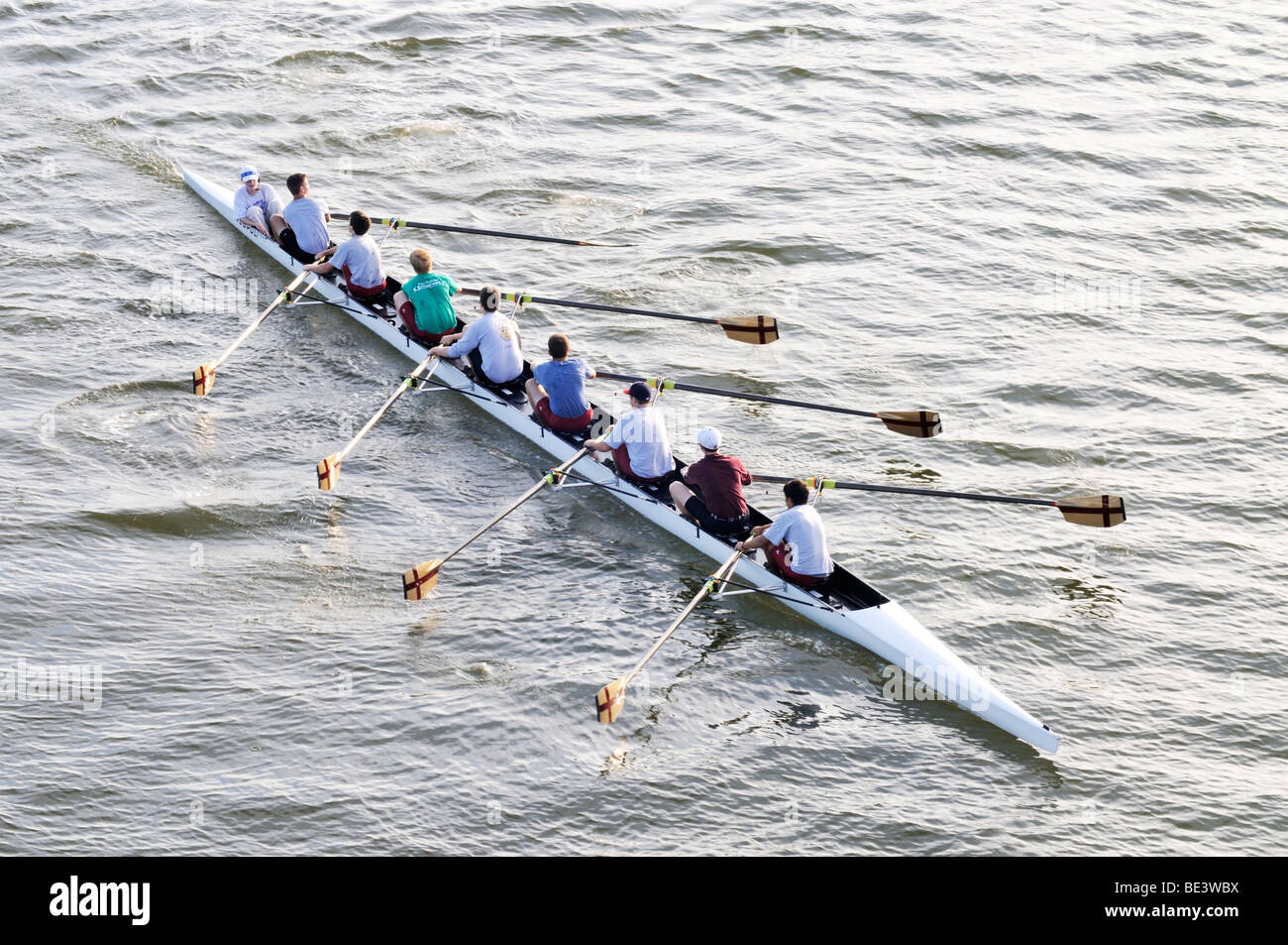 Sculling on a river in Boston in a 8 man shell Stock Photo - Alamy