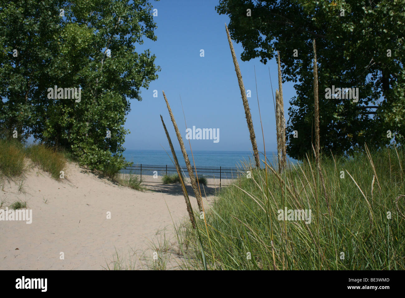 A sandy path running down to the blue horizon between small dunes of ...
