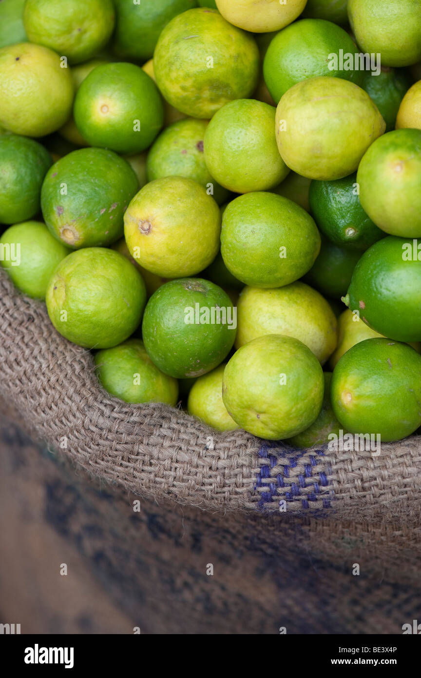Sack of lemons on an Indian market. Andhra Pradesh, India Stock Photo ...