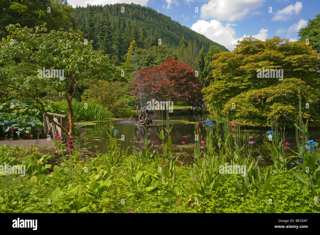 Benmore botanic garden hi-res stock photography and images - Alamy