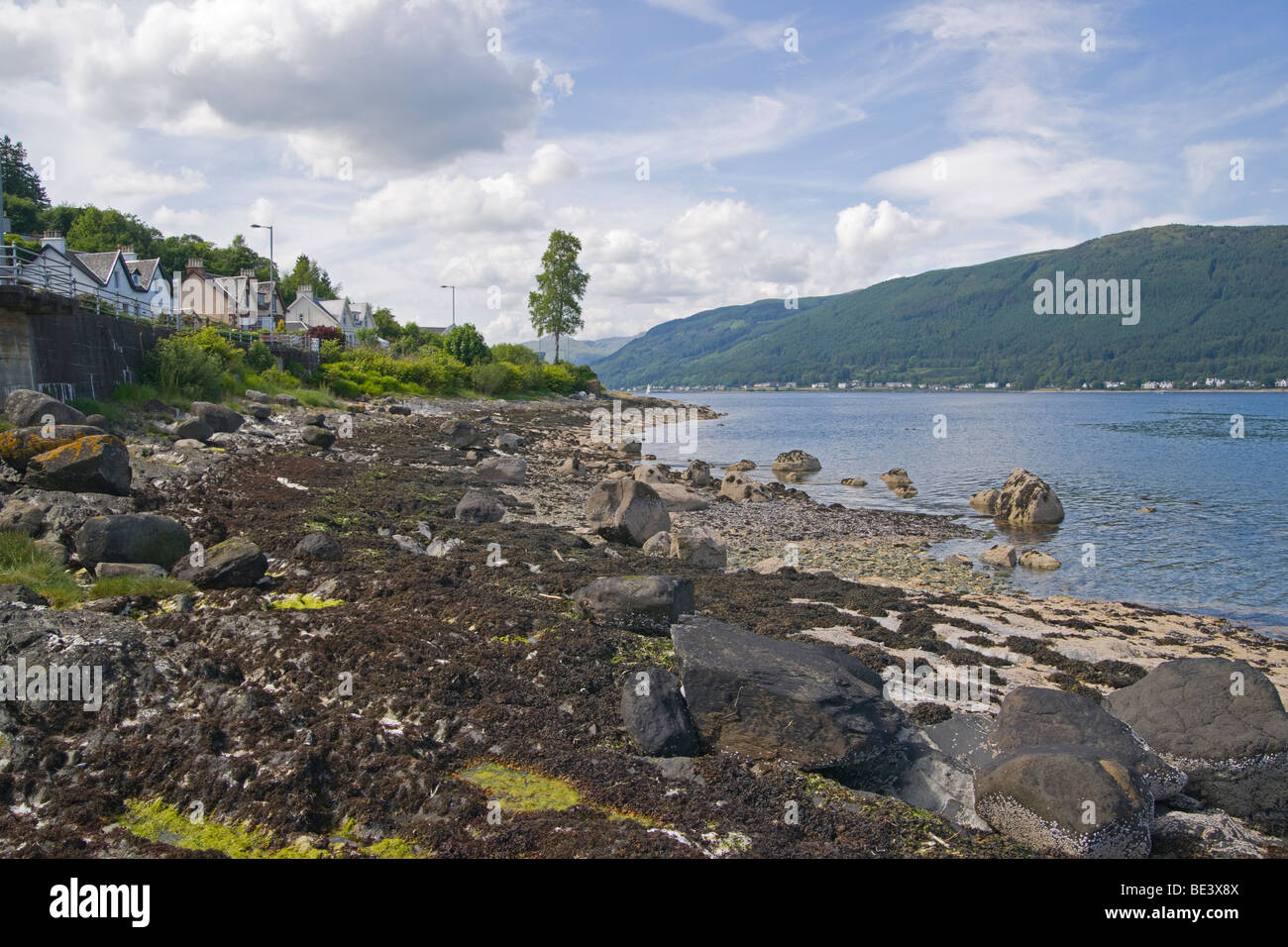 Looking north up towards Holy Loch from Kirn, Argyl and Bute, Scotland ...