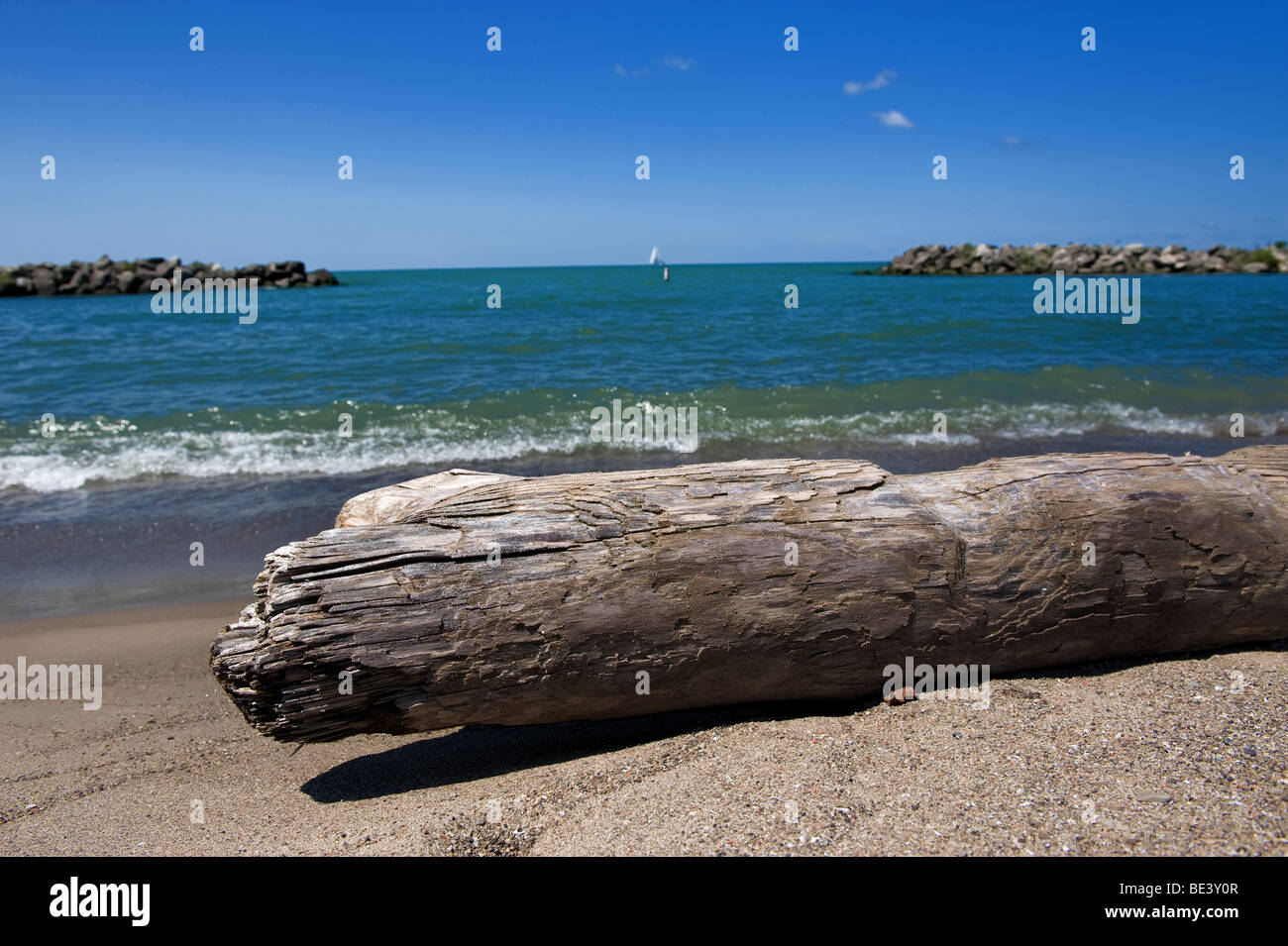 Driftwood laying on the beach with view of water Stock Photo - Alamy