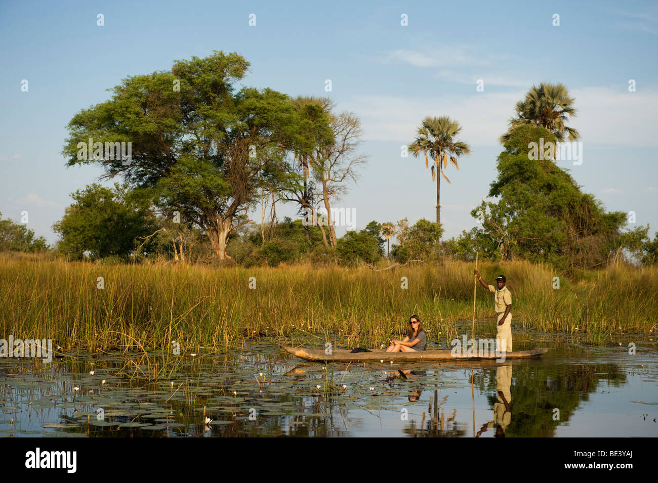 Tourist on mokoro trip, Okavango Delta, Botswana Stock Photo - Alamy