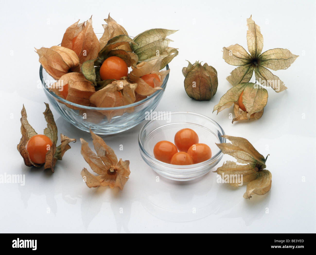Dried physalis peruviana hi-res stock photography and images - Alamy