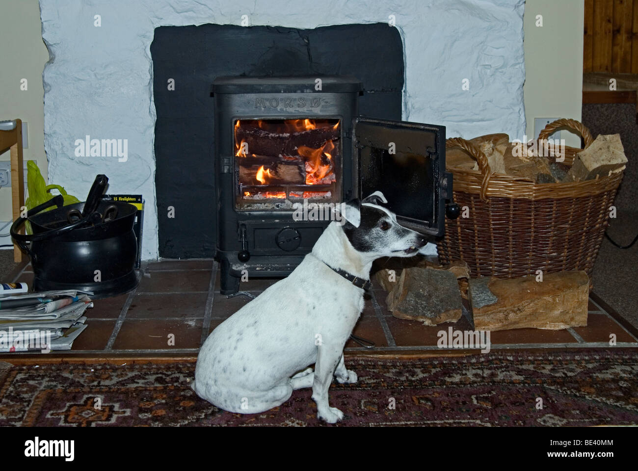Dog Stoves
