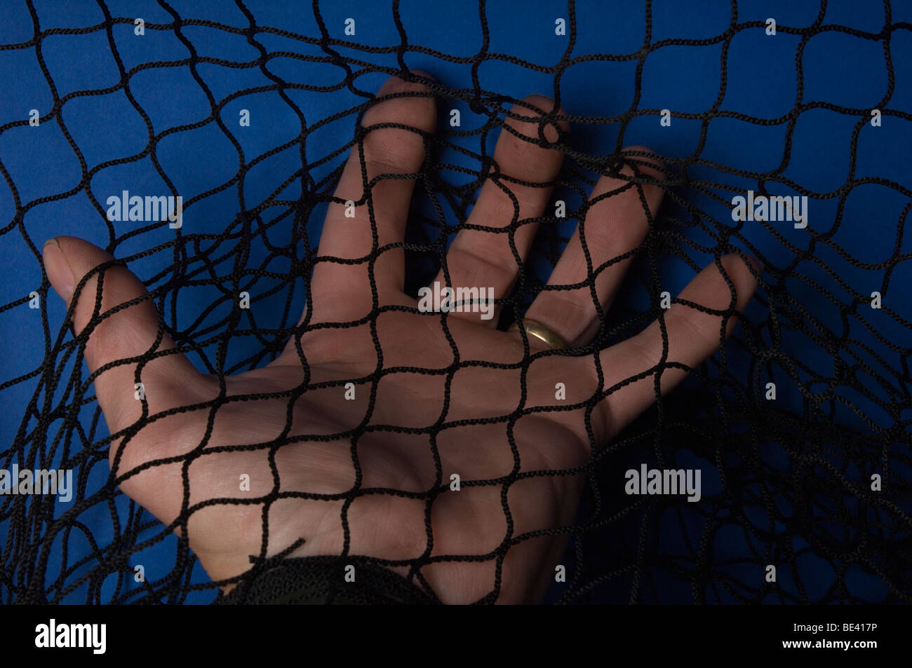 Trapped in netting hi-res stock photography and images - Alamy