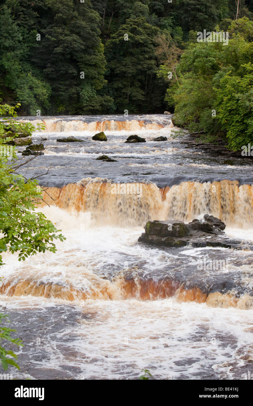 Aysgarth Falls at Aysgarth in the yorkshire Dales National Park, UK ...