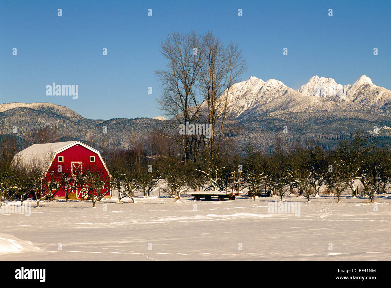 Golden ears peaks hi-res stock photography and images - Alamy