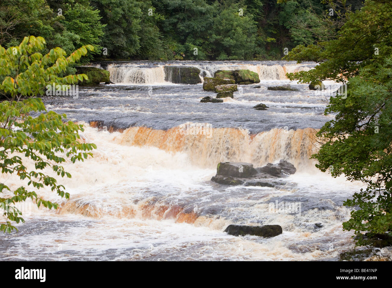 Aysgarth Falls at Aysgarth in the yorkshire Dales National Park, UK ...