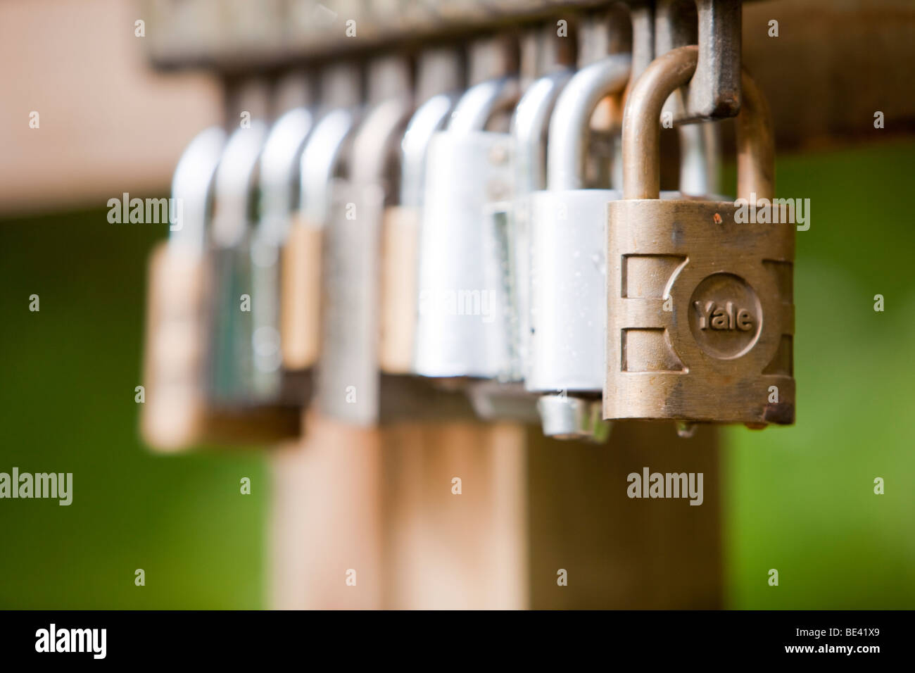 Multiple padlocks on a gate in Grizedale forest, Lake District, UK ...