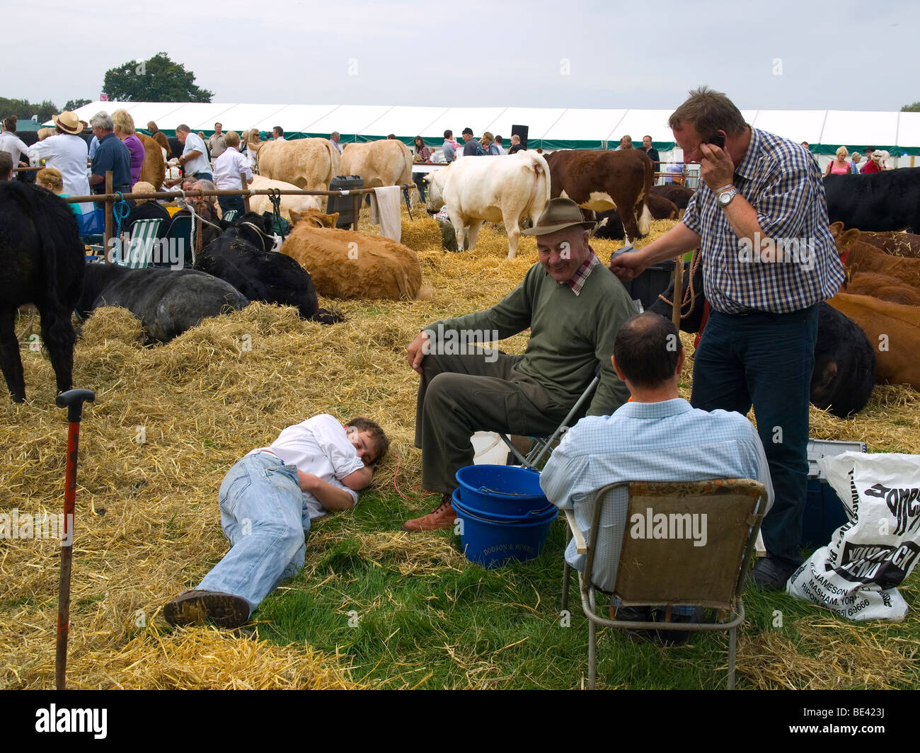 Meet farmers hi-res stock photography and images - Alamy